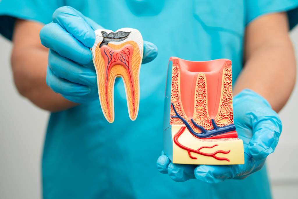 How Long To Wait to Smoke After A Root Canal